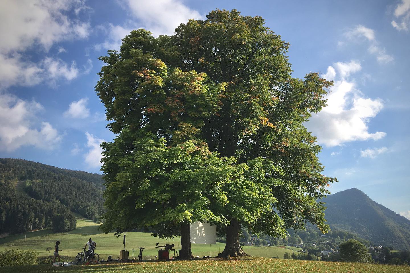 L'unijambiste | Portfolio